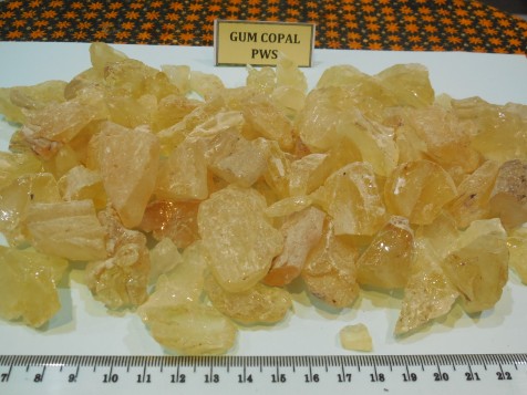 Product - Copal